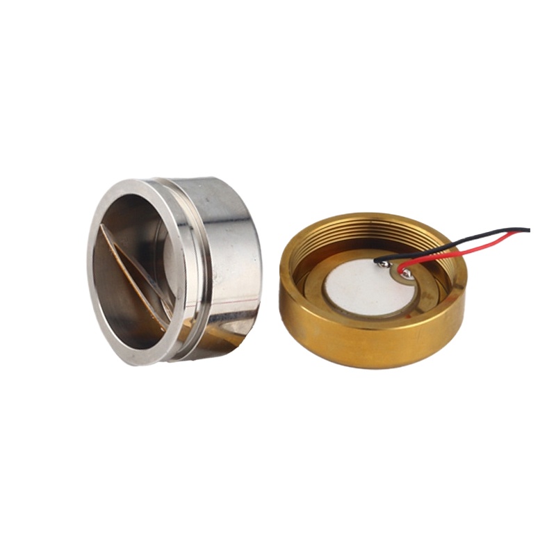 Stainless Steel Ultrasonic Transducer for Beauty Head丨Customized ...
